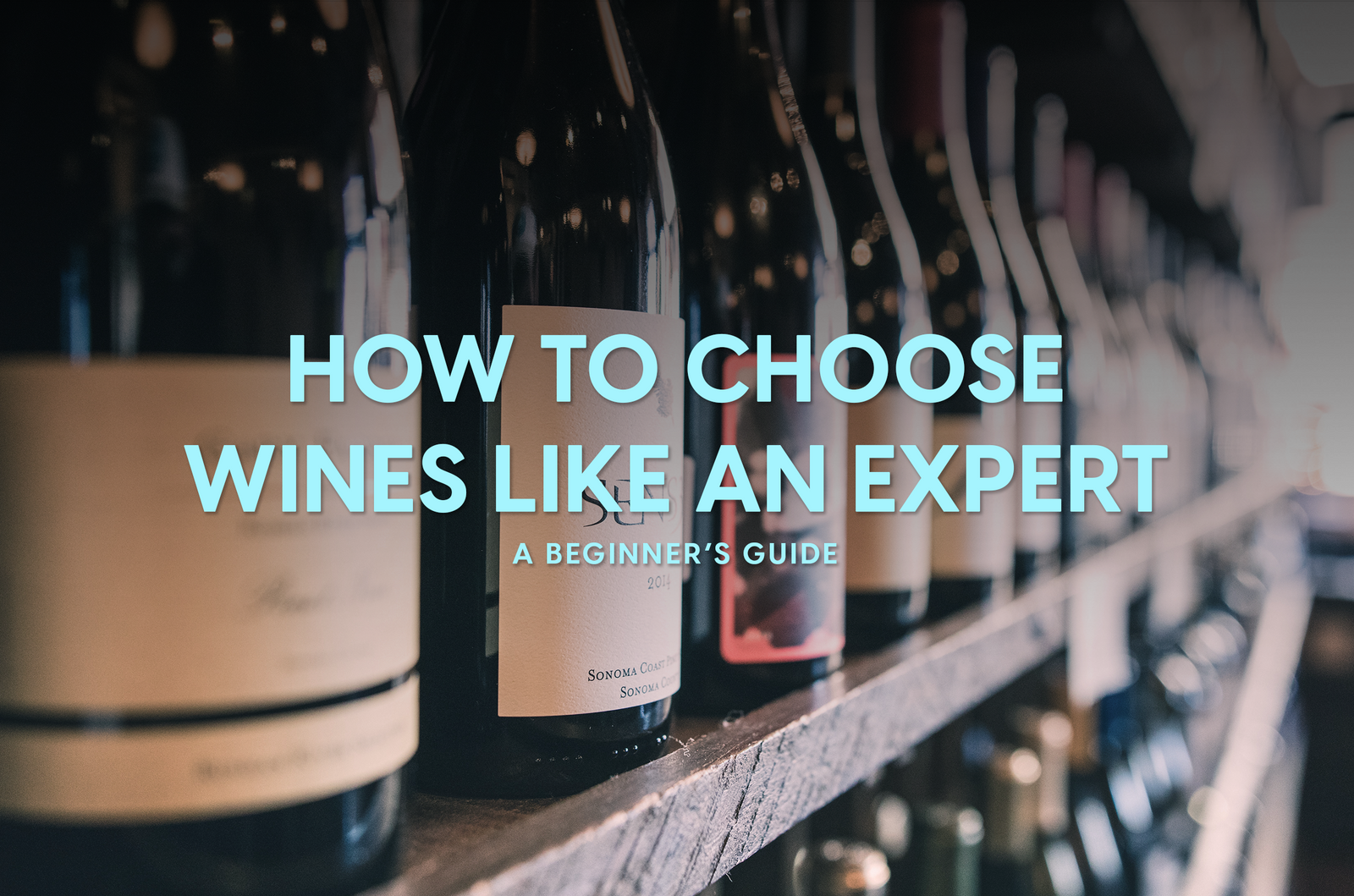 A Beginner's Guide: How to choose wine like an expert – Wine Clique